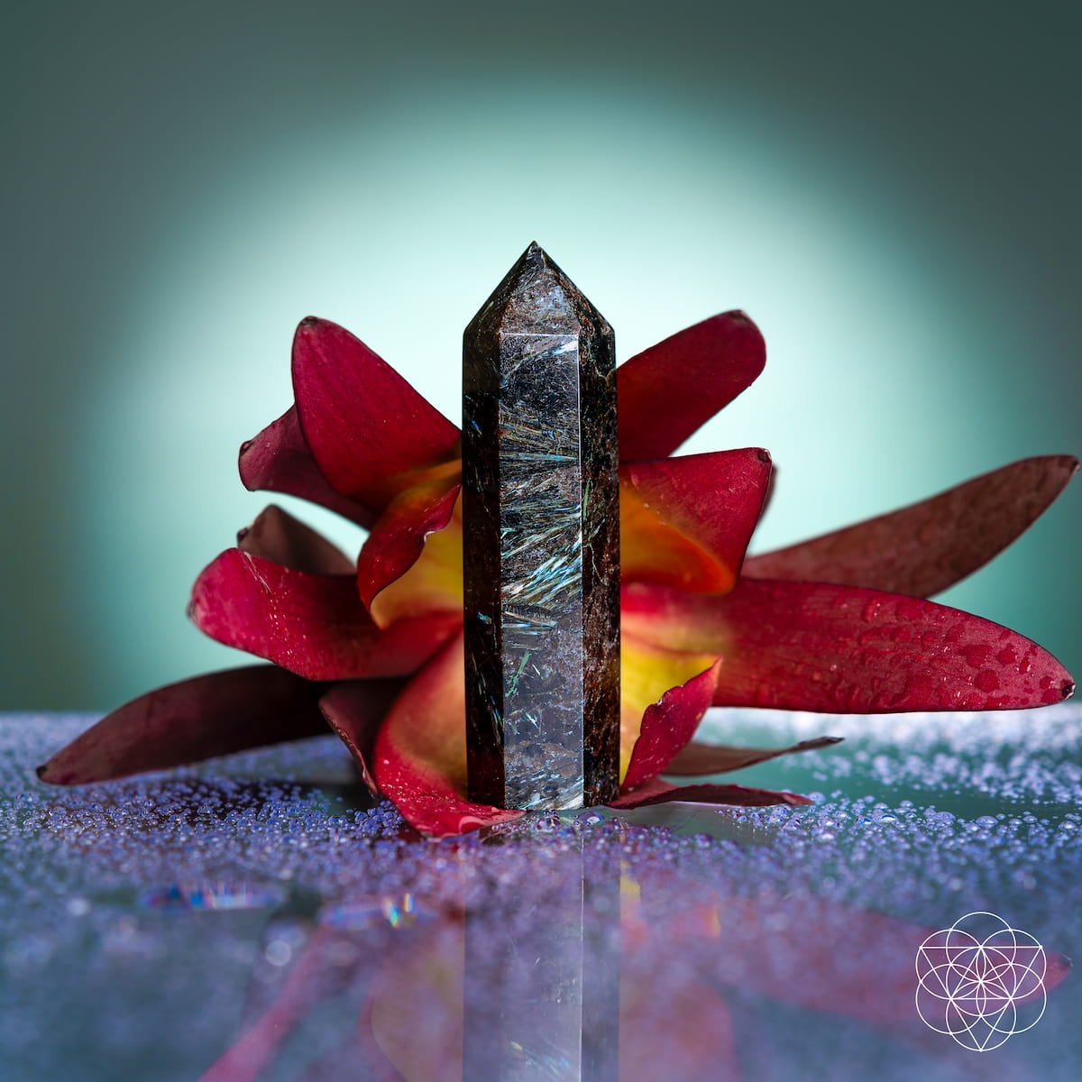 This Is Your Breakthrough – Rare Arfvedsonite Point – Conscious Items