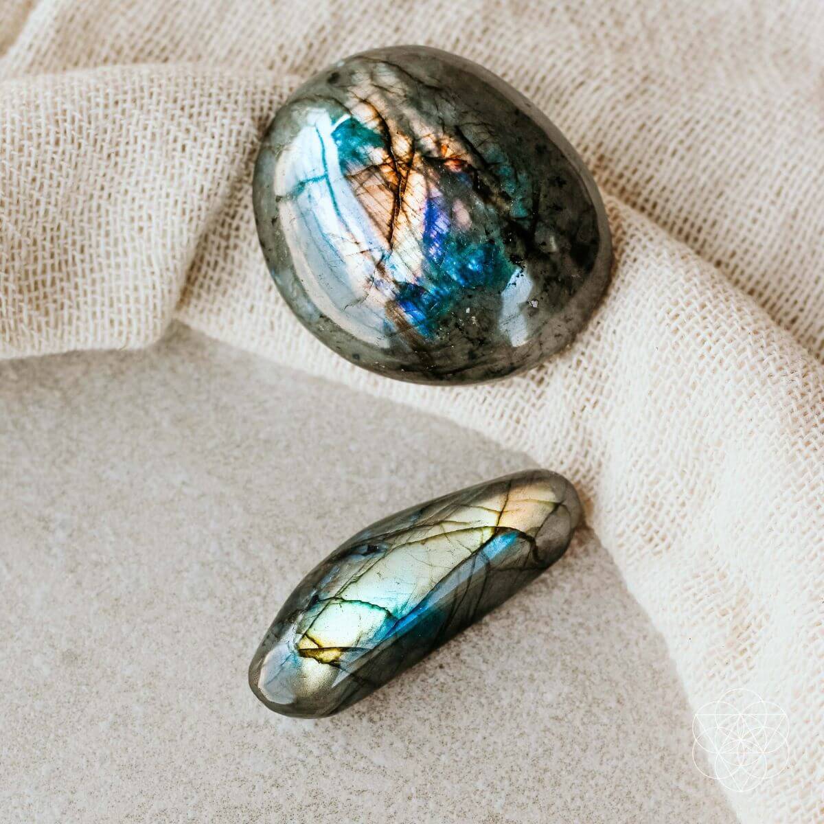The Mind-Expanding Stone – Conscious Items